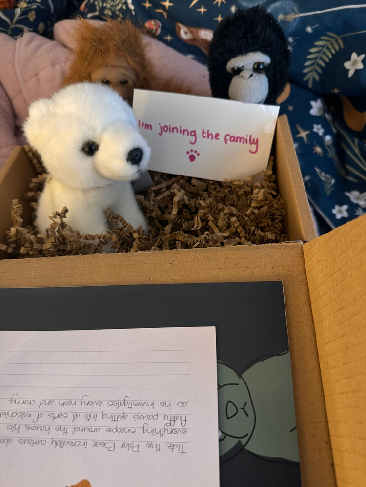 Tidz arrives at home | Loved Before