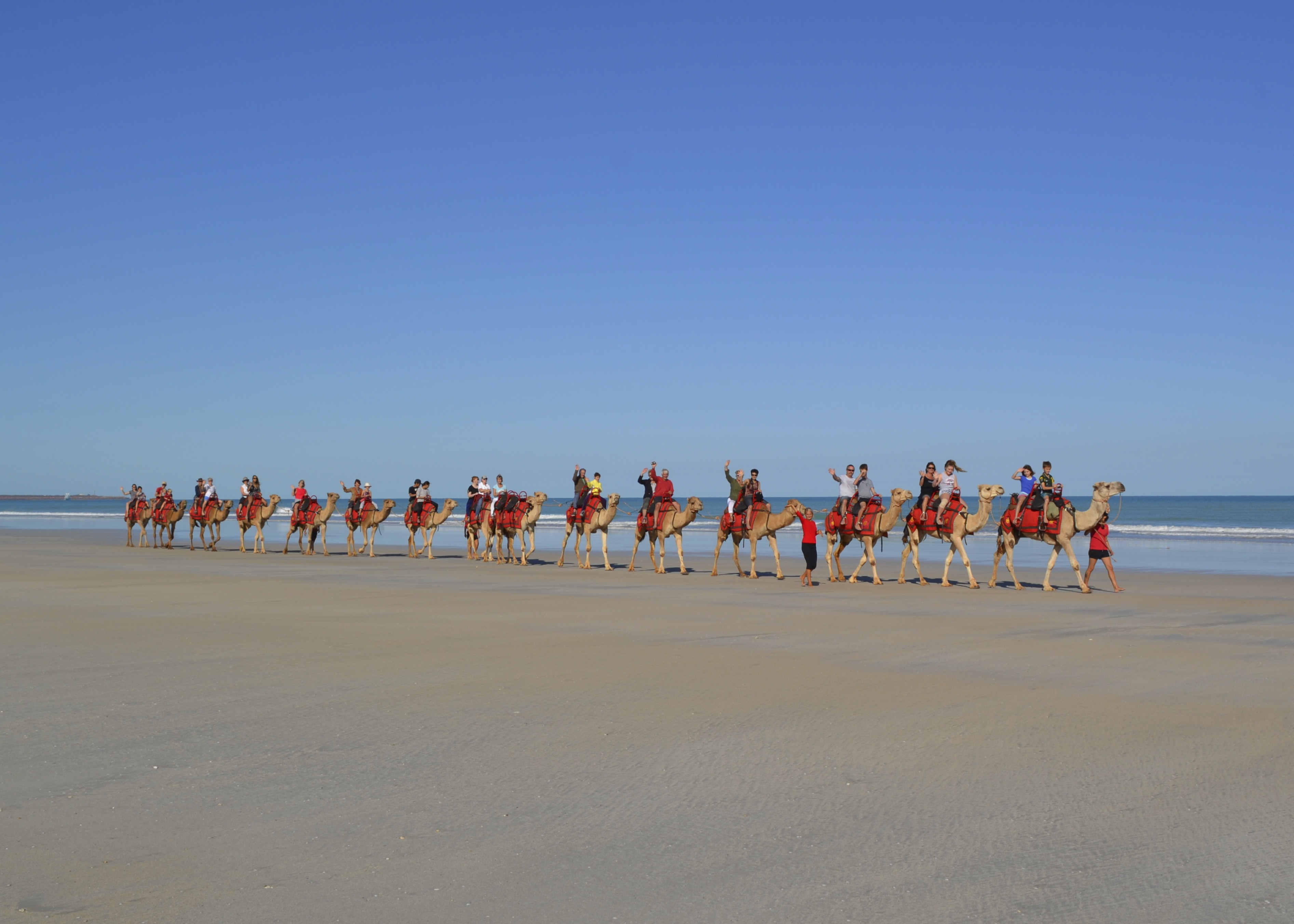 Magical Morning Tour | redsuncamels