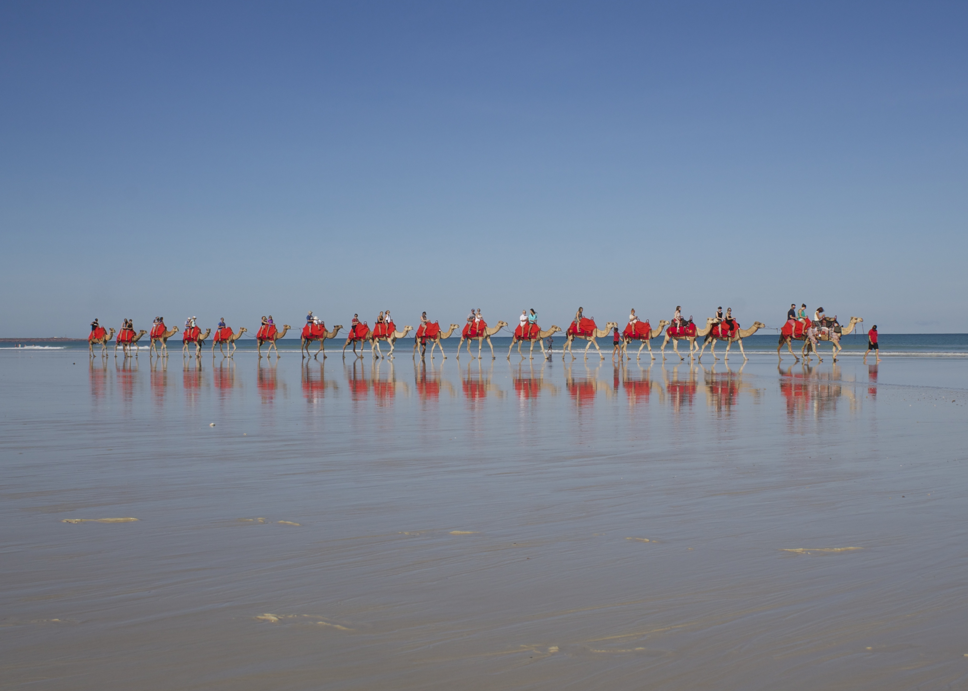 Magical Morning Tour | redsuncamels