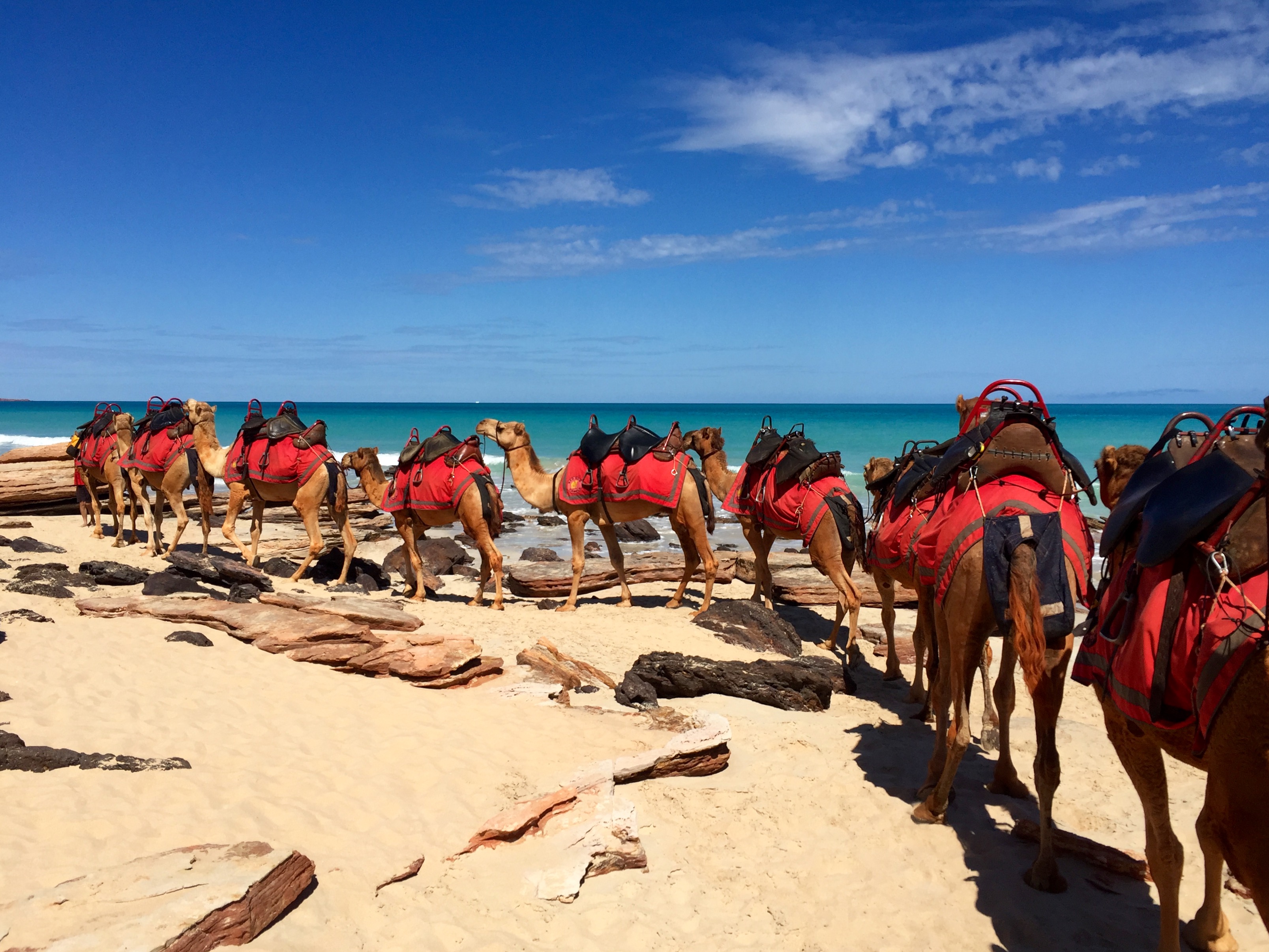 Magical Morning Tour | redsuncamels