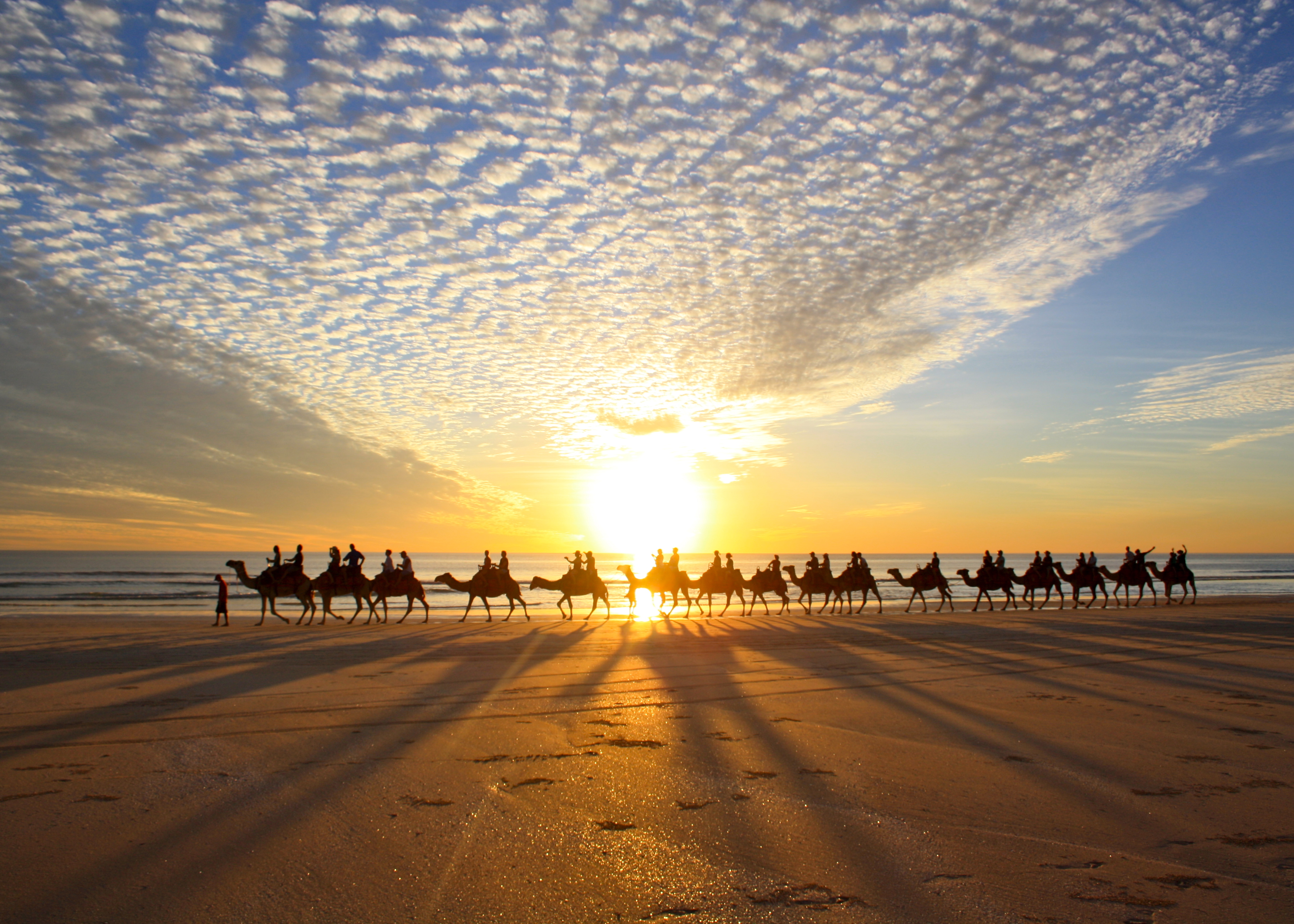 About | redsuncamels