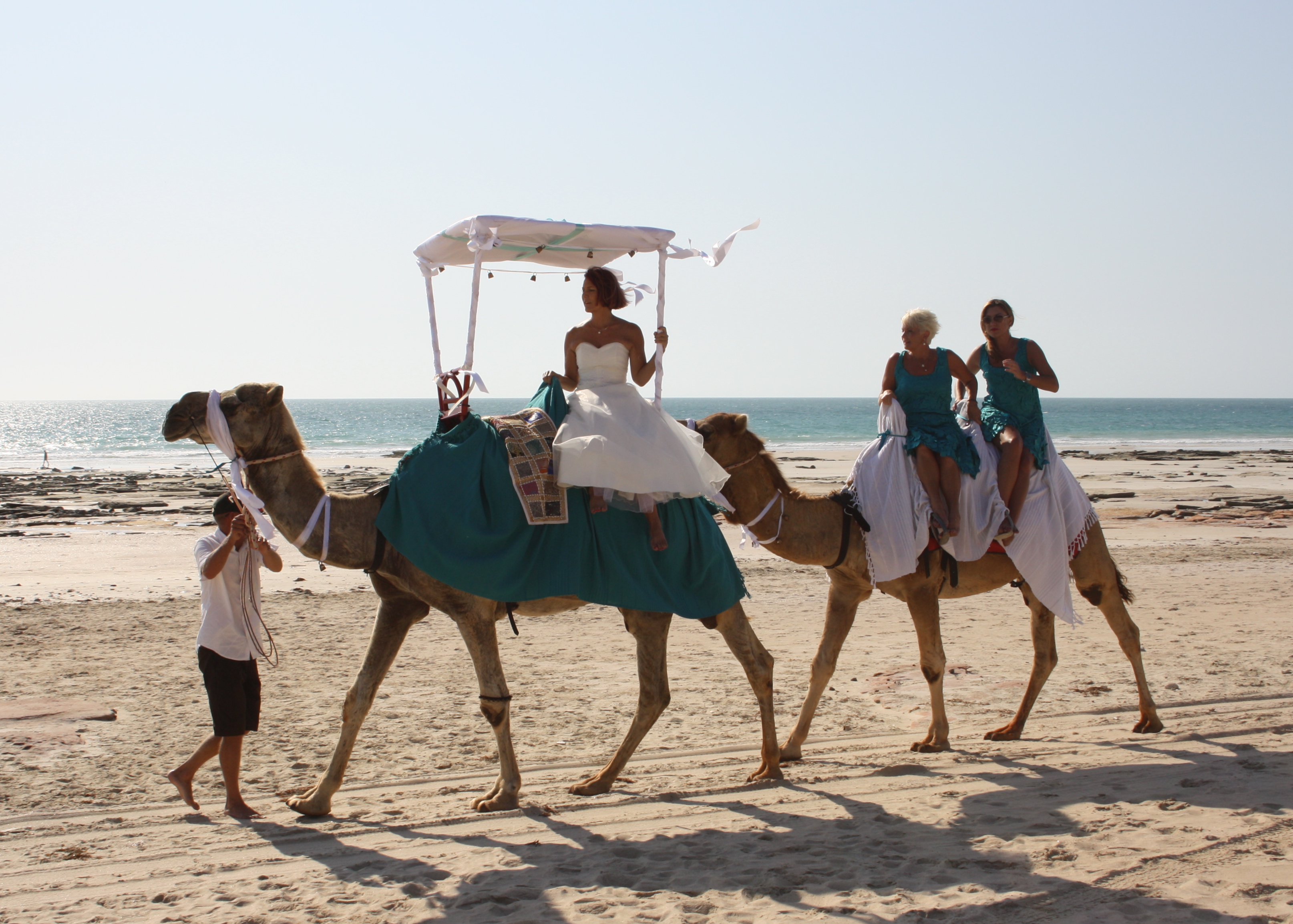 Events | redsuncamels