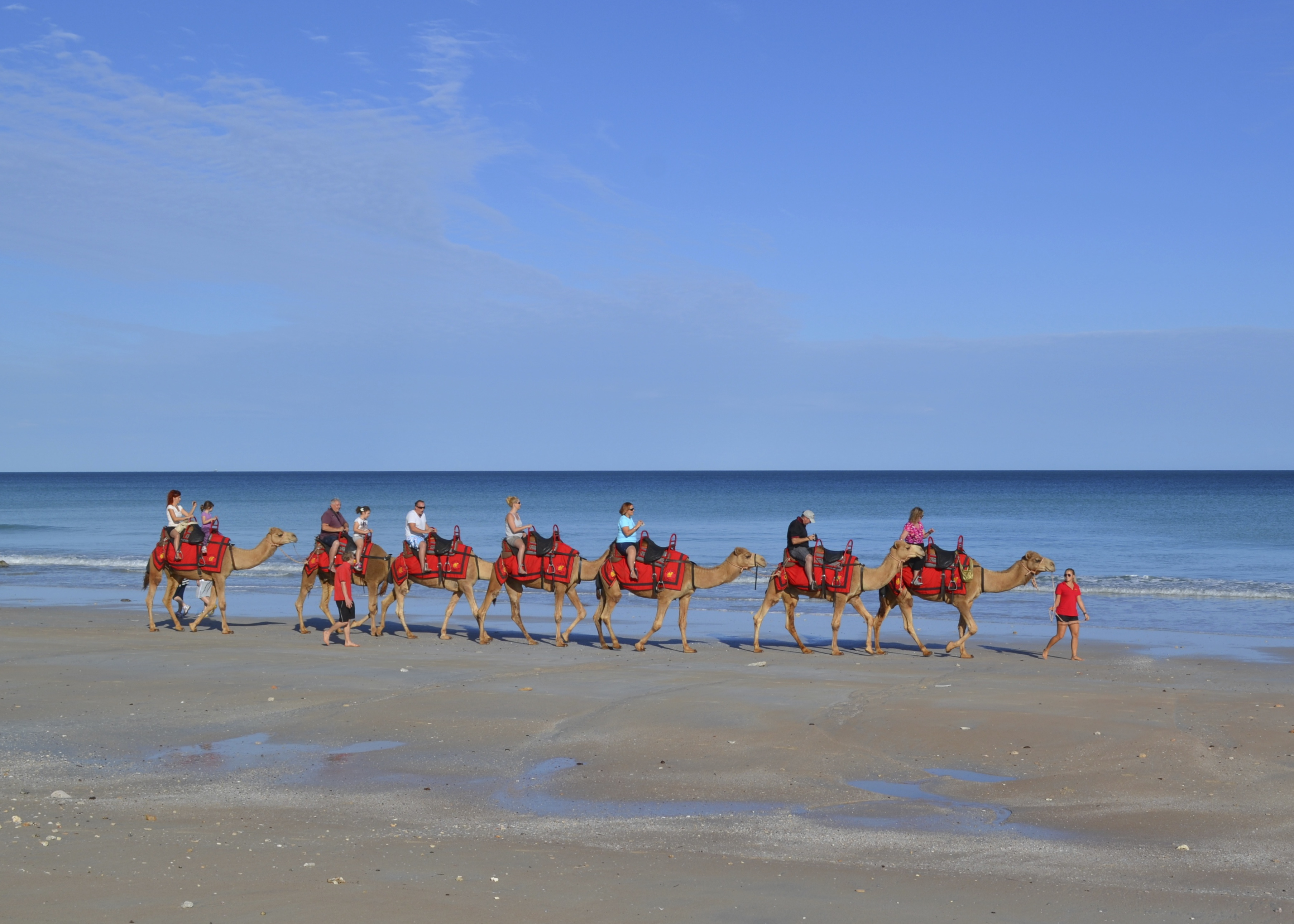 Magical Morning Tour | redsuncamels