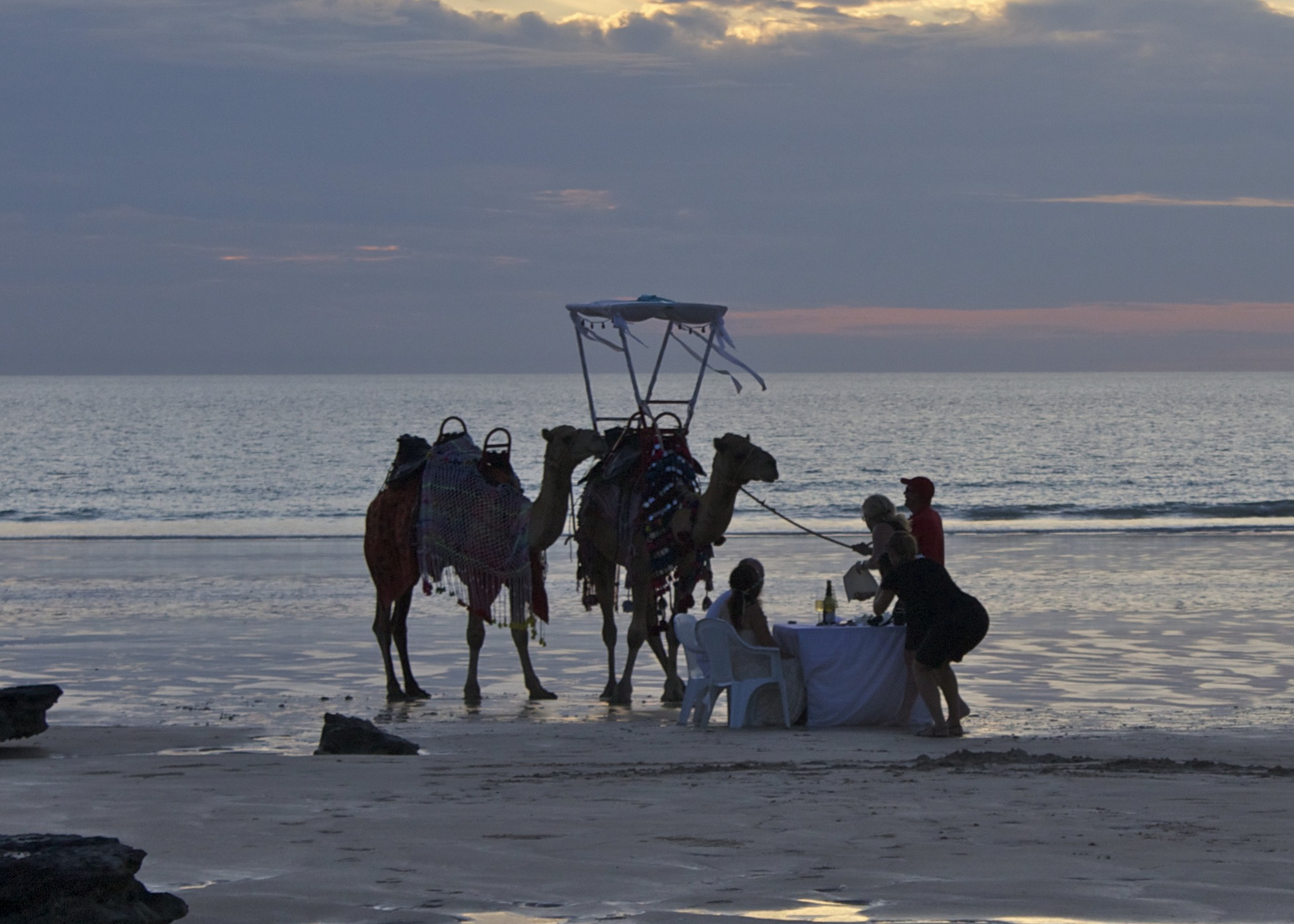 Events | redsuncamels