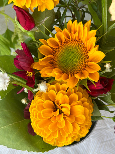 All Products | Swan Seed Co