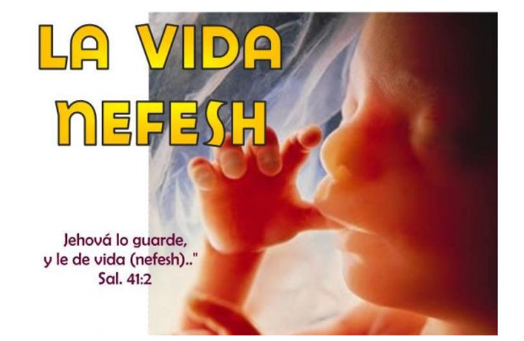 La Vida Nefesh