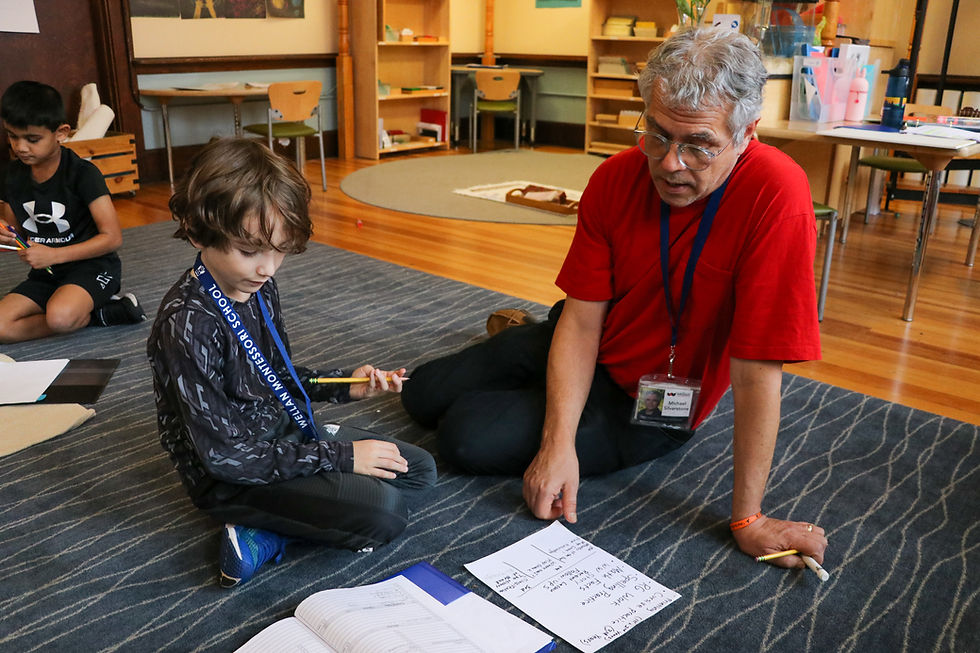 Executive Functioning and the Montessori Work Plan