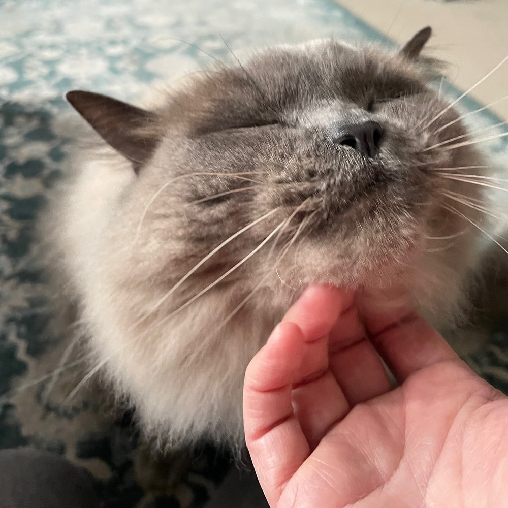 Helping, not helping