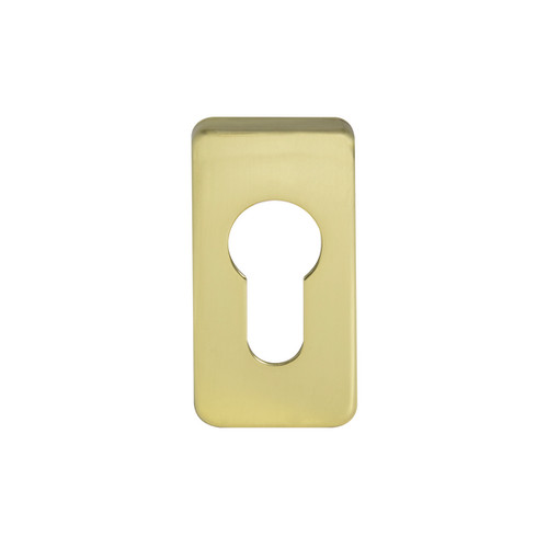 60x30mm Rectangular Euro Escutcheon Pair - Polished Brass | Windsor ...