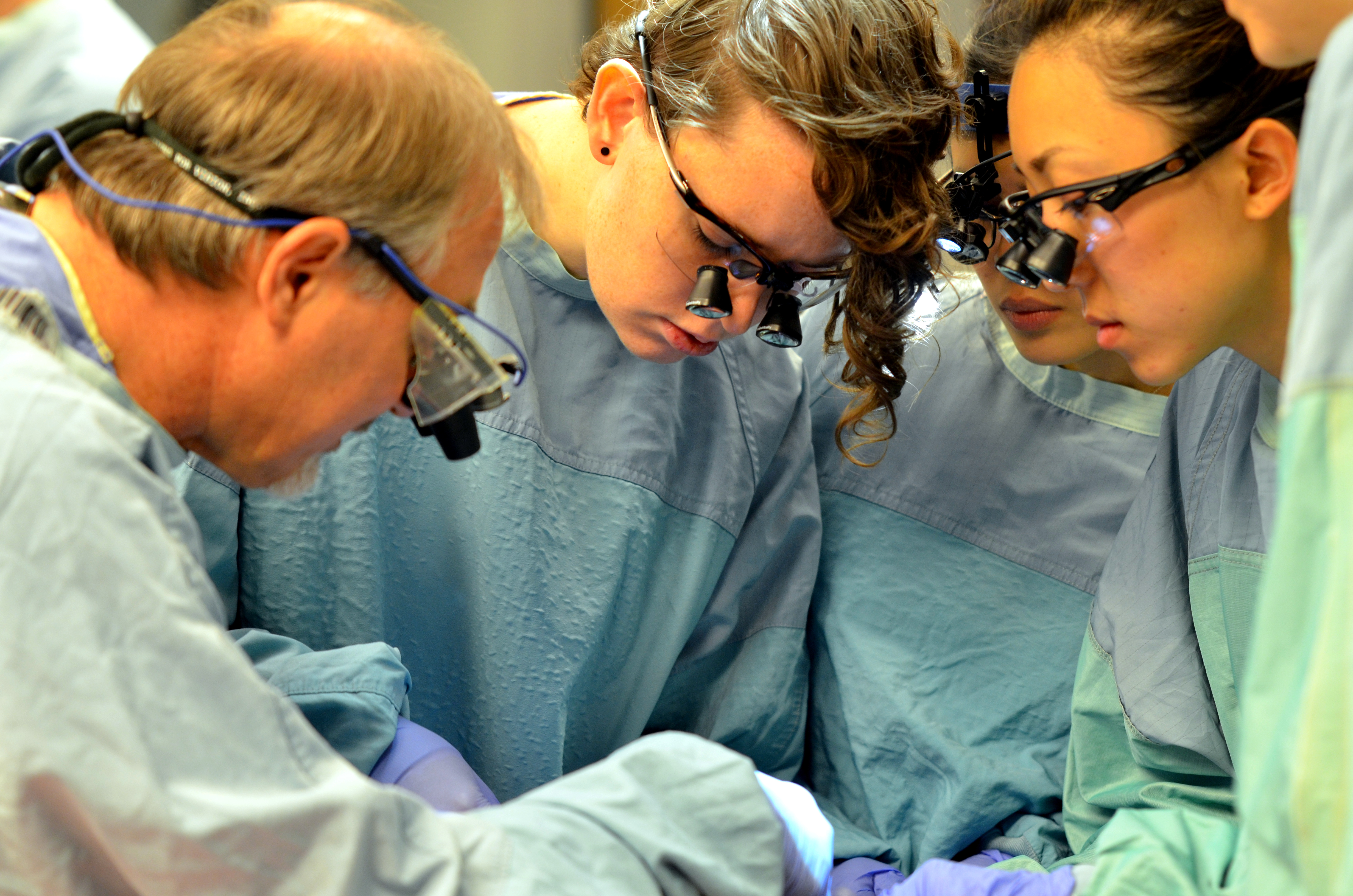 Division of Plastic Surgery | University of British Columbia