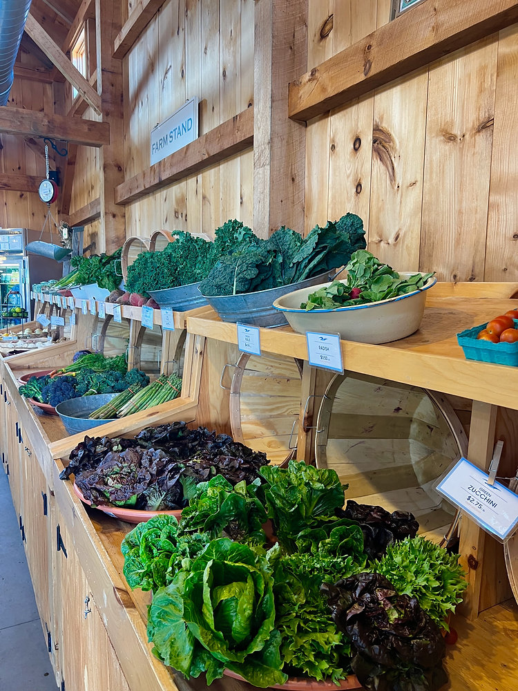 PURE Market Destinations: Cape Cod