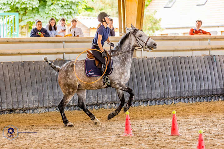 Equi Fun | APP-Photo