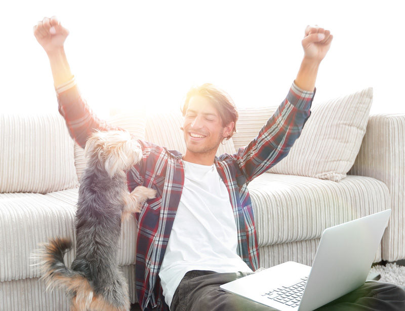 Pet Sitter Plus Software Top 5 Reasons To Demo It Today