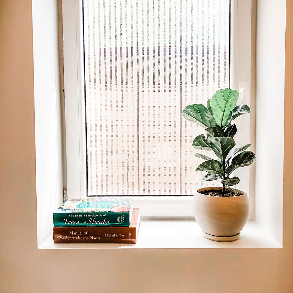 Add Privacy To Windows & Maintain Light