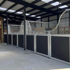 Gallery | NZ Equine Solutions