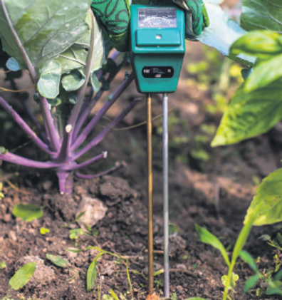 Soil Nutrient Sensors