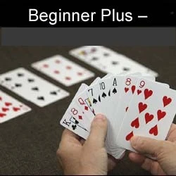 Upcoming Classes | BridgeWizdom