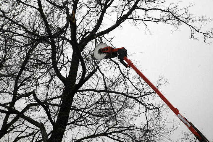 Skid Steer Hydraulic Limb Saw | Bell Precision Tool