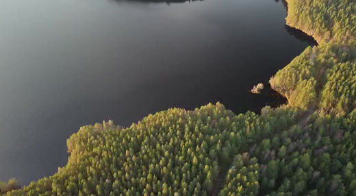 Abigail Nelson Edinburgh therapist | dramatherapy