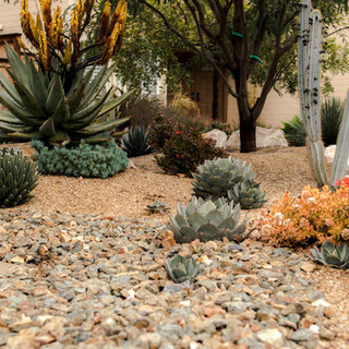 Lawn Conversion | FredricksonLandscape