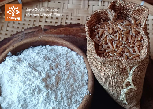 Emmer Wheat (Jave Godhi/Khapli) Whole Grain Flour - Cold Extracted, 1 ...