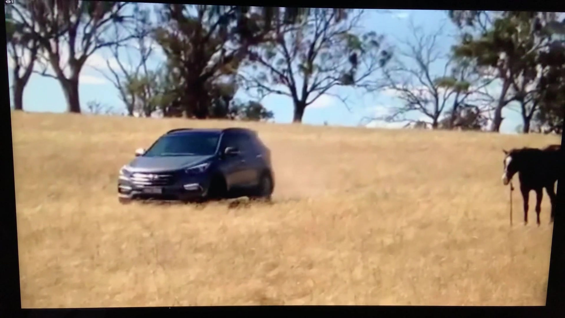 Film Reel | Steve Cox Equine