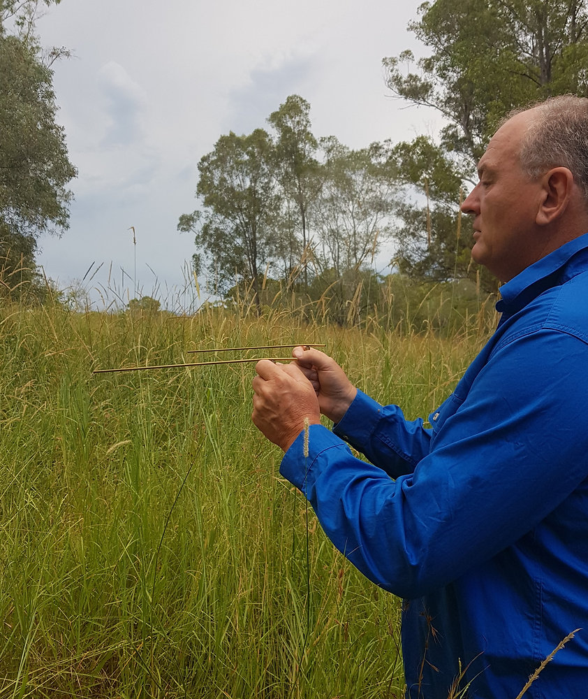 What is water divining and can it actually help me find water?