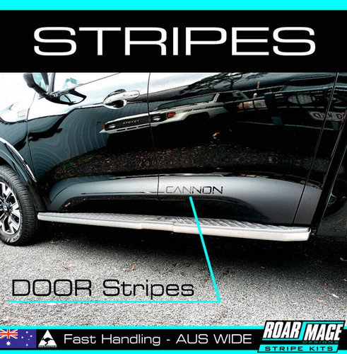 AM side DOOR STRIPES Fit 2020-2021 GWM Cannon decals stickers 4x4 ...