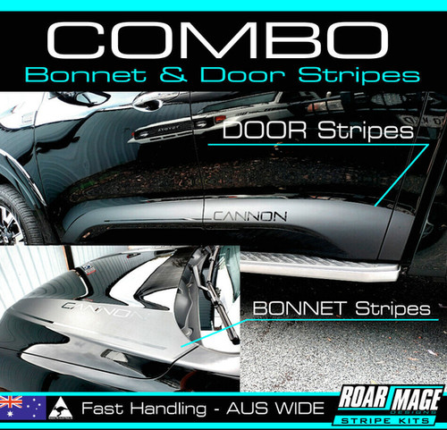 AM Combo Bonnet & Door STRIPES KIT Fit 2020-2021 GWM Cannon decals ...