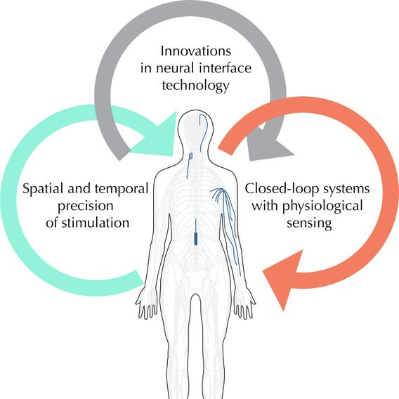 Innovations in electrical stimulation harness neural plasticity to ...