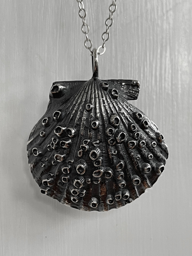 Sterling silver 2” barnacle covered scallop shell | Heidi Weddendorf