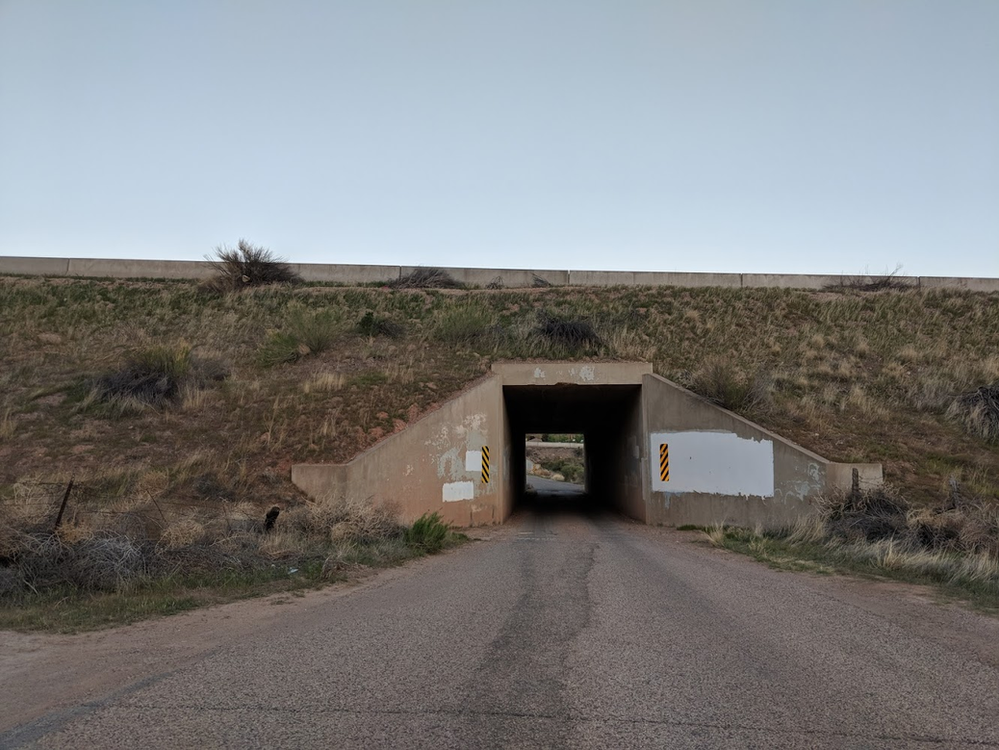 The Best Hike in Southern Utah the Whole Family Can Enjoy: Red Reef ...