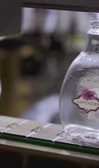 real hands solutions