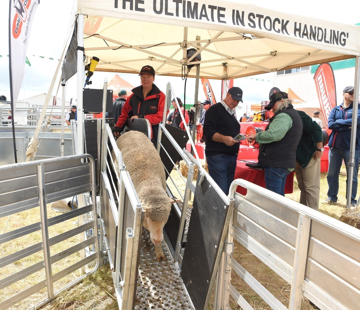 Field Days 32017 099 (Large).JPG