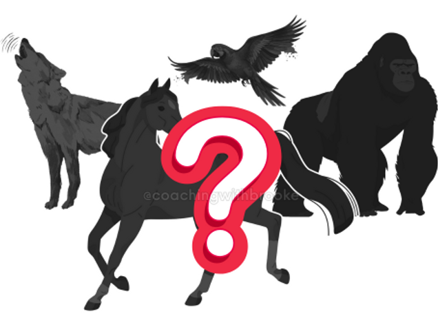 What Animal is ADHD?