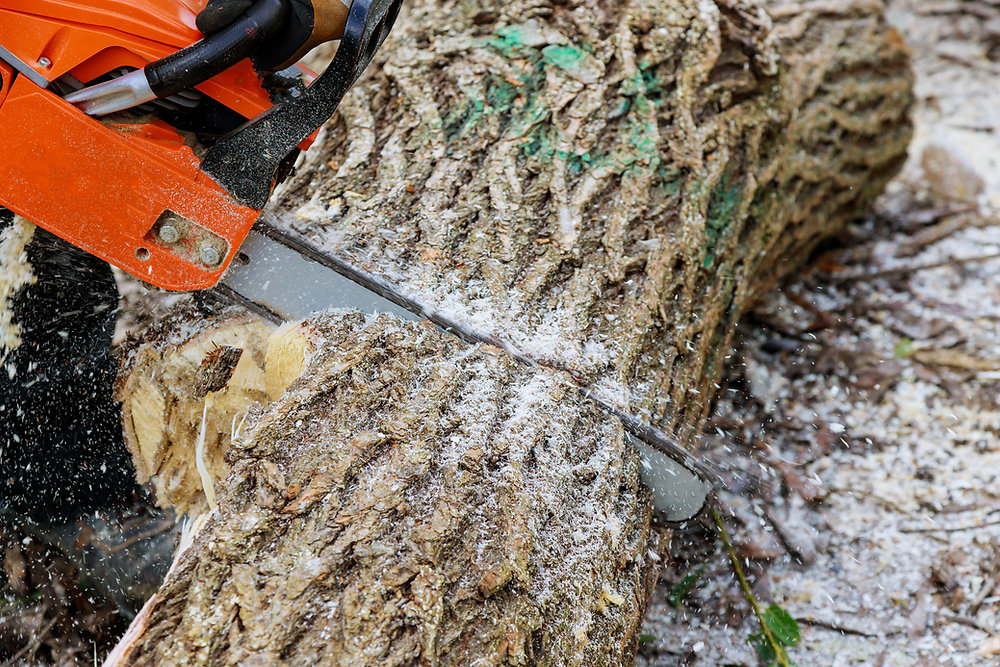 High Performance Tree Services Has You Covered