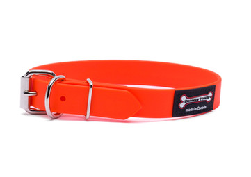 Collars | Smoochy Poochy
