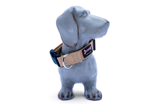 Shop Nylon Collars at Smoochy Poochy