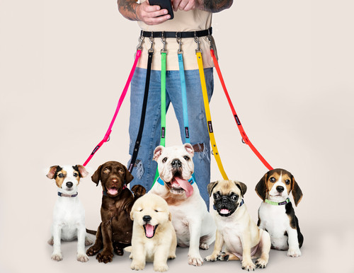 High-Quality Extension Leads | Smoochy Poochy