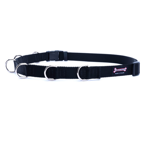 Nylon Adjustable Belt | Smoochy Poochy