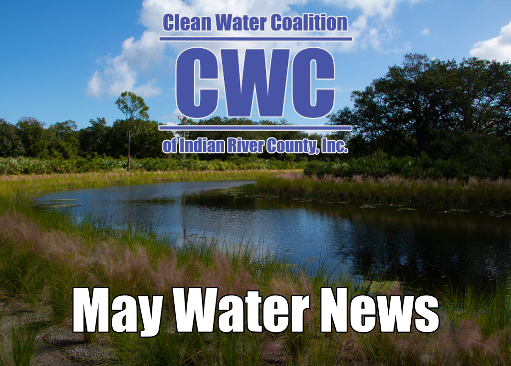 Our Waters | Clean Water Coalition of Indian River County