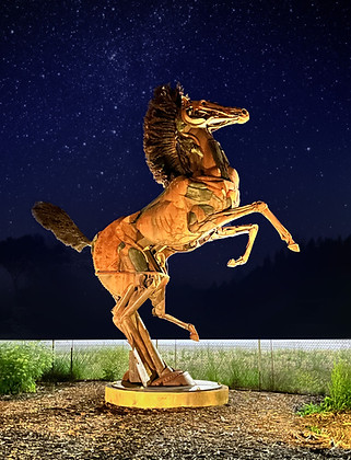 Public Art | BRYAN TEDRICK