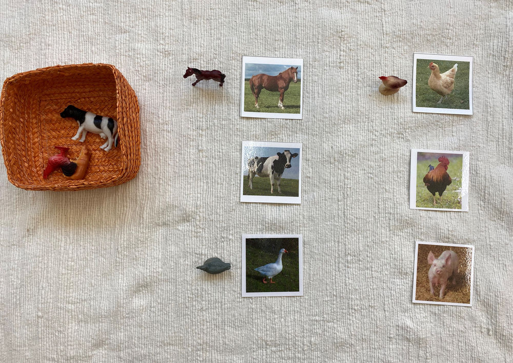 Materials Spotlight: Matching Objects to Pictures