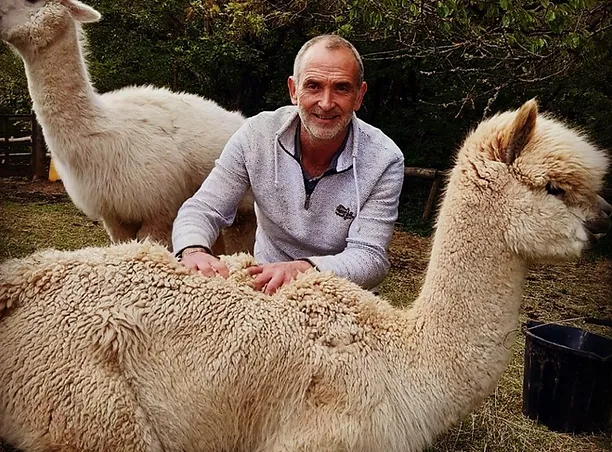 The Alpaca Shearer | About