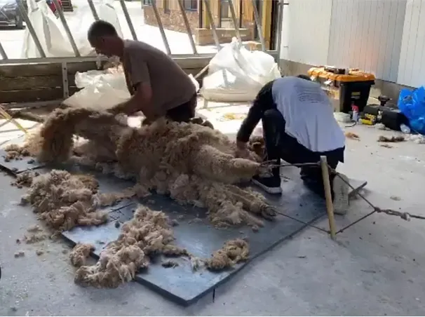 The Alpaca Shearer | Services
