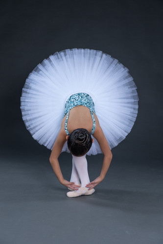 Custom order/size: Professional Practice/Rehearsal tutu - white ...