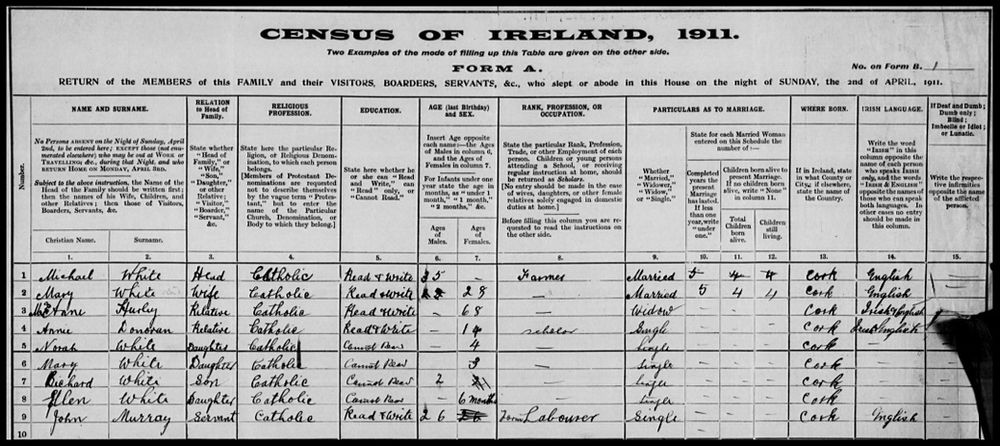 THE ‘LIFELINES’ OF THE IRISH CENSUS
