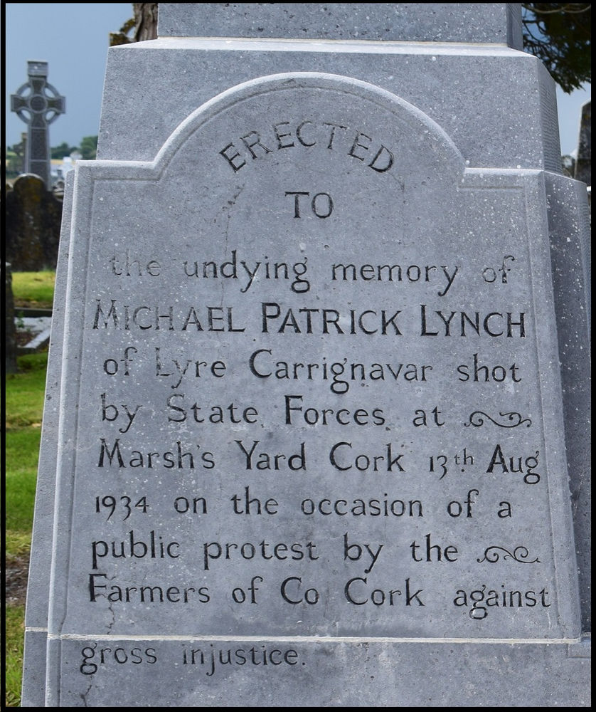 WHO & WHAT WERE THE IRISH BLUESHIRTS?