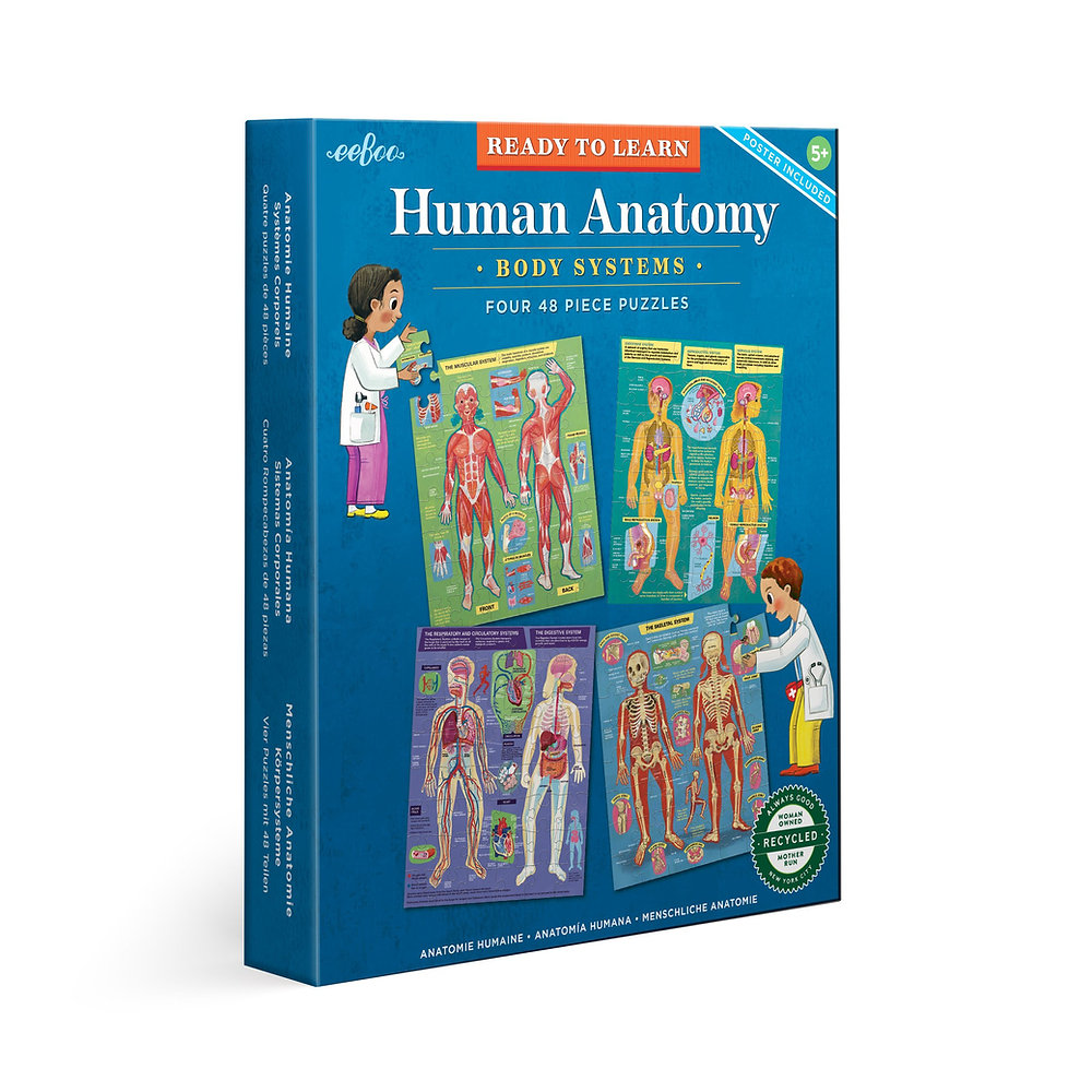 eeBoo Human Anatomy Body Systems, Four 48-Piece Puzzles