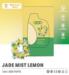 DISPOSABLE 5000 PUFF | VIX MIST